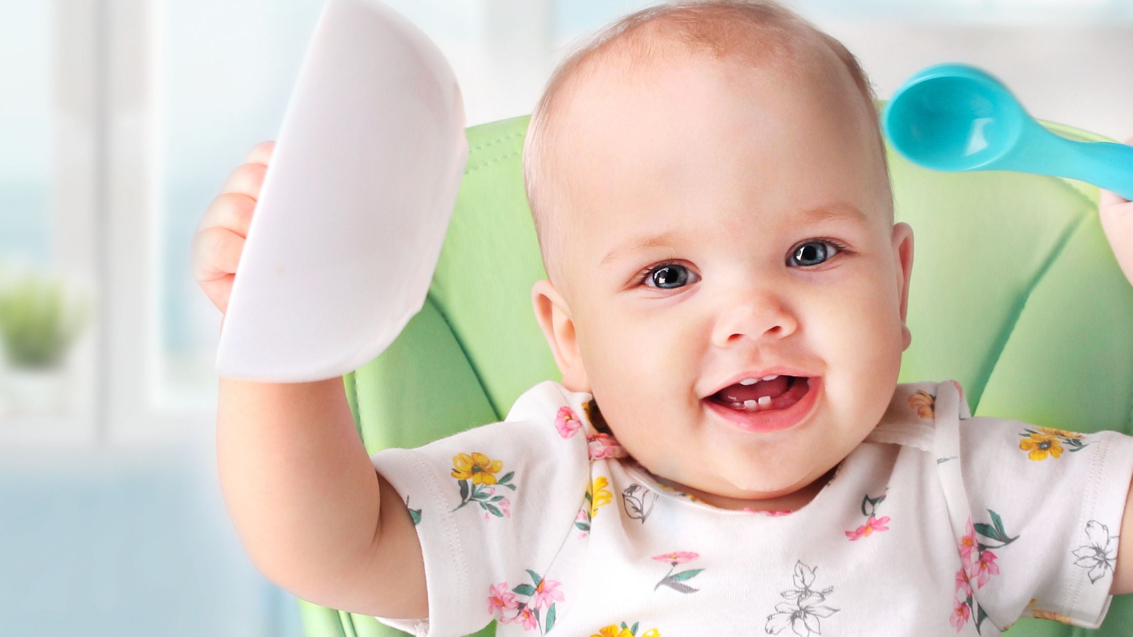The Ultimate Guide to European Baby Formulas | Organic Formula Hub